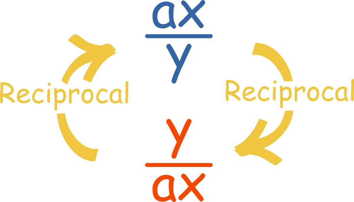 Reciprocal In Algebra