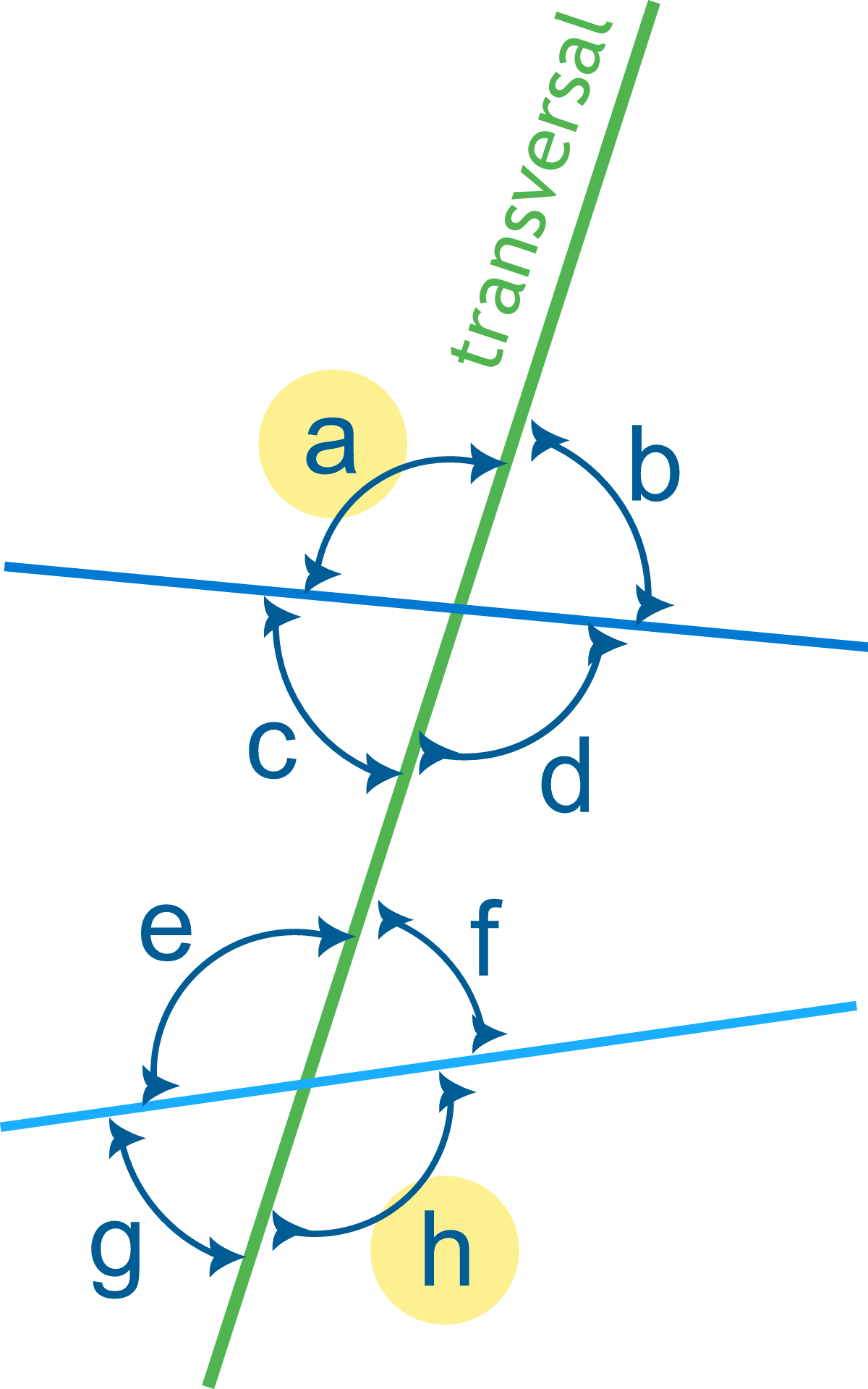 Alternate Exterior Angles