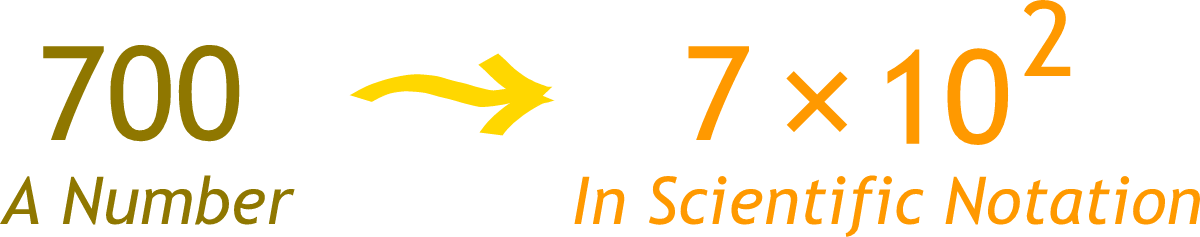 Scientific Notation