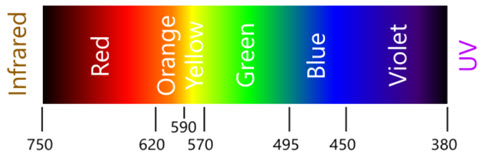 Visible Light Spectrum For Kids